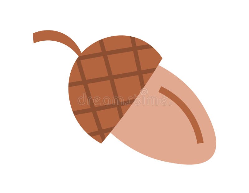 Stylized Acorn Illustration with Textured Cap and Smooth Nut Stock ...