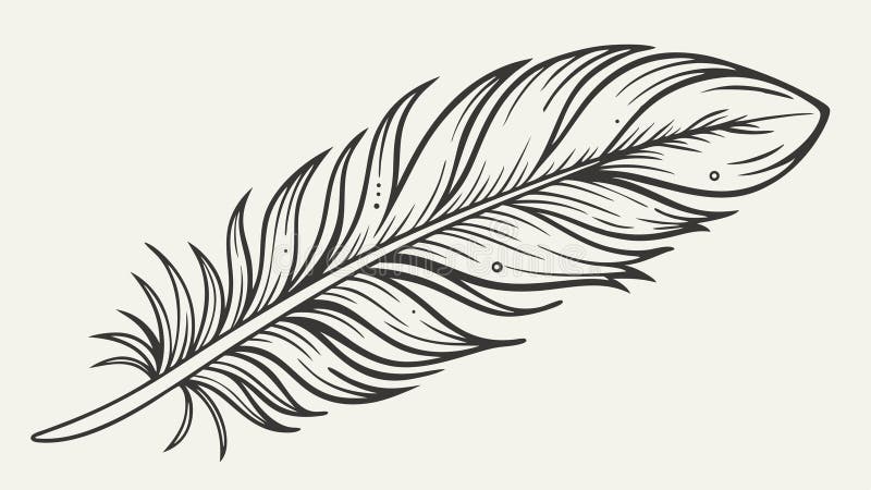Stylized Decorative Single Feather Illustration, Vector Design ...
