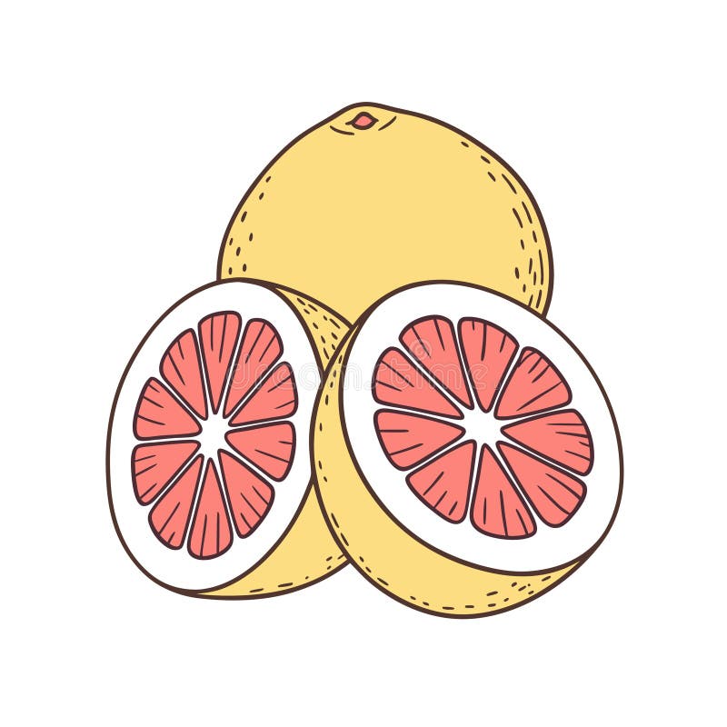 Stylized Grapefruit Illustration: Whole and Halved Citrus Fruits Stock ...