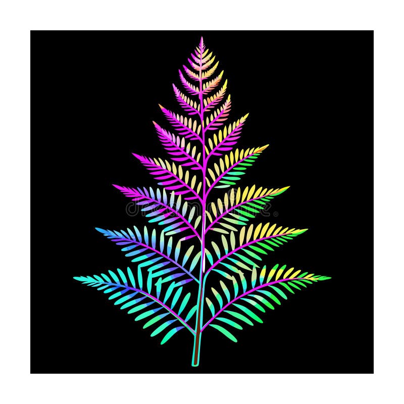 Vibrant Rainbow Fern Illustration on Black Background for Modern Design ...