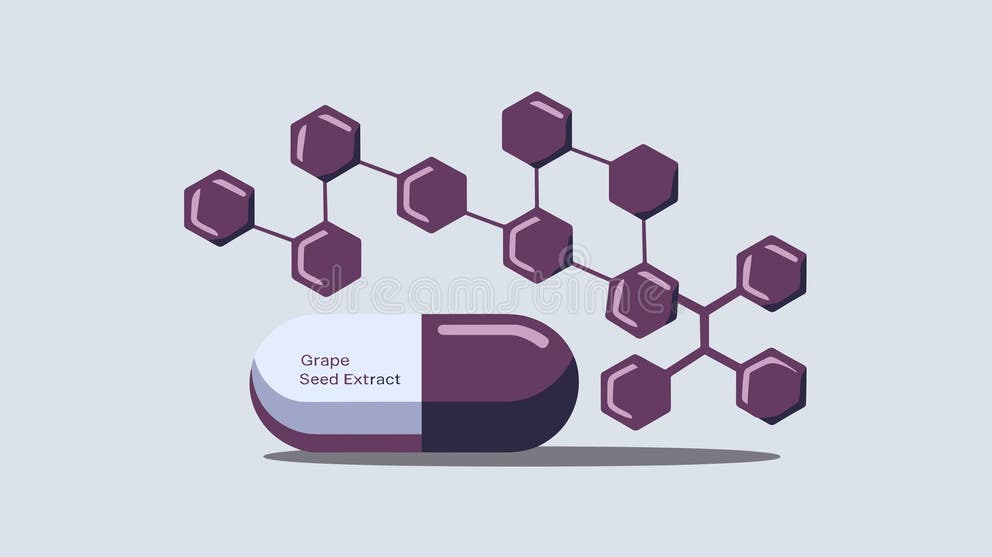 Stylized Illustration of Grape Seed Extract Capsule with Molecular ...