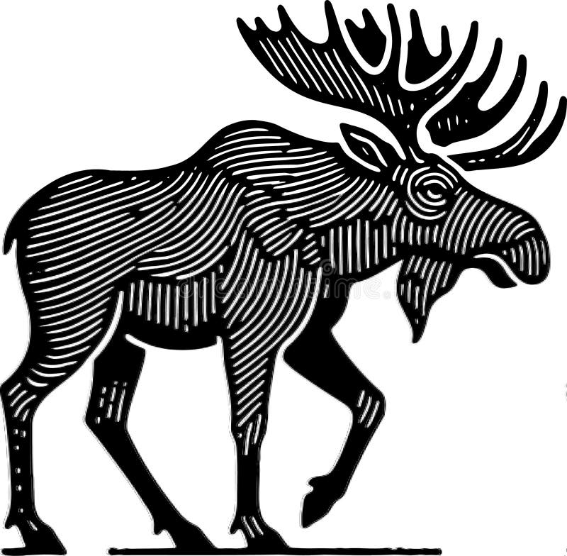Detailed Illustration of a Moose in a Stylized Line Art Technique Stock ...