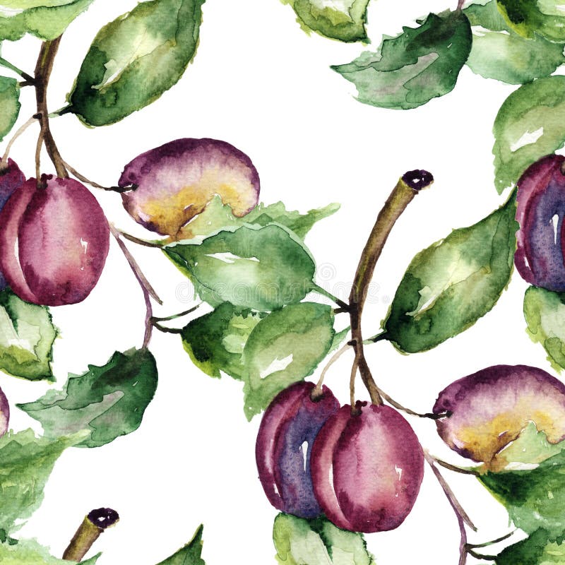 Stylized Illustration of Plum Stock Illustration - Illustration of food ...