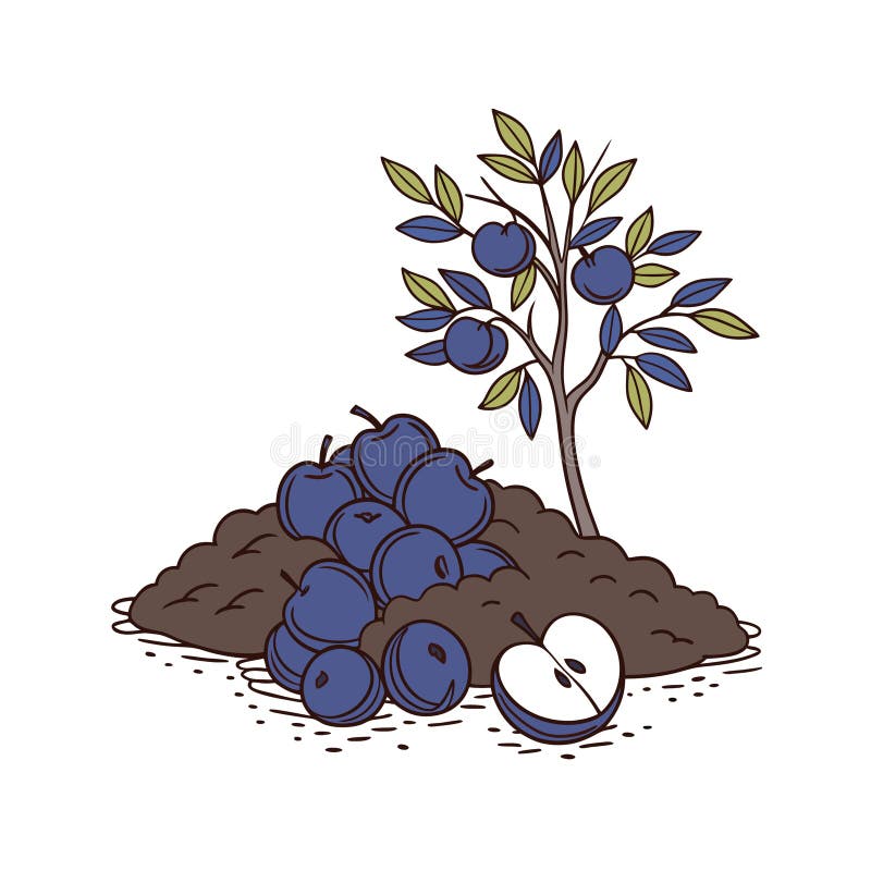 Stylized Illustration of Plums Growing on Tree with Soil Stock Image ...