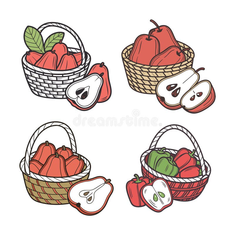 Rose Apple in the Basket, Stylized Vector Design Stock Vector ...
