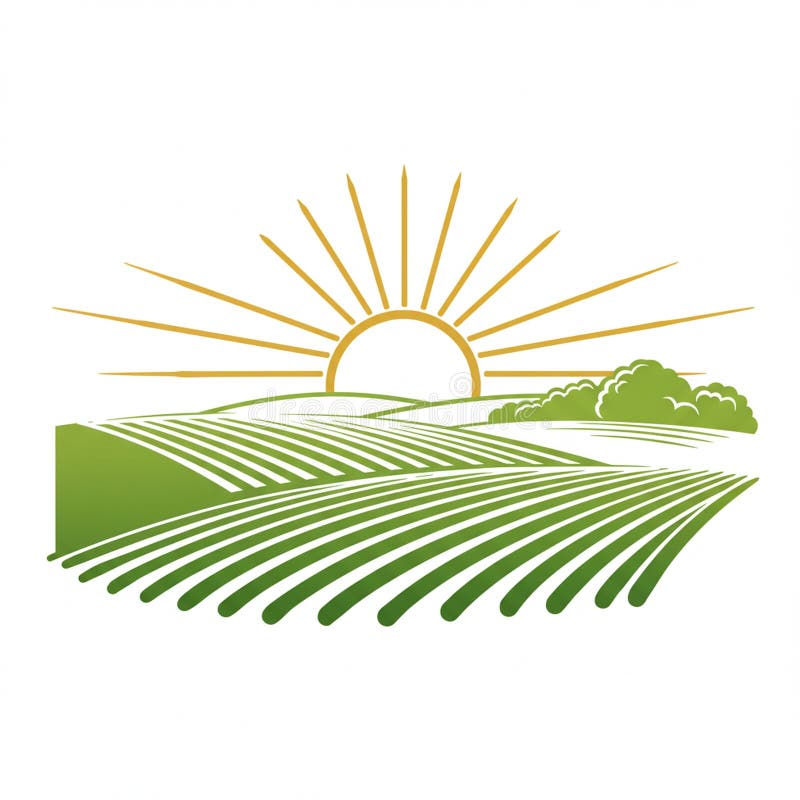 Stylized Illustration of a Rural Landscape. Green Fields with Linear ...