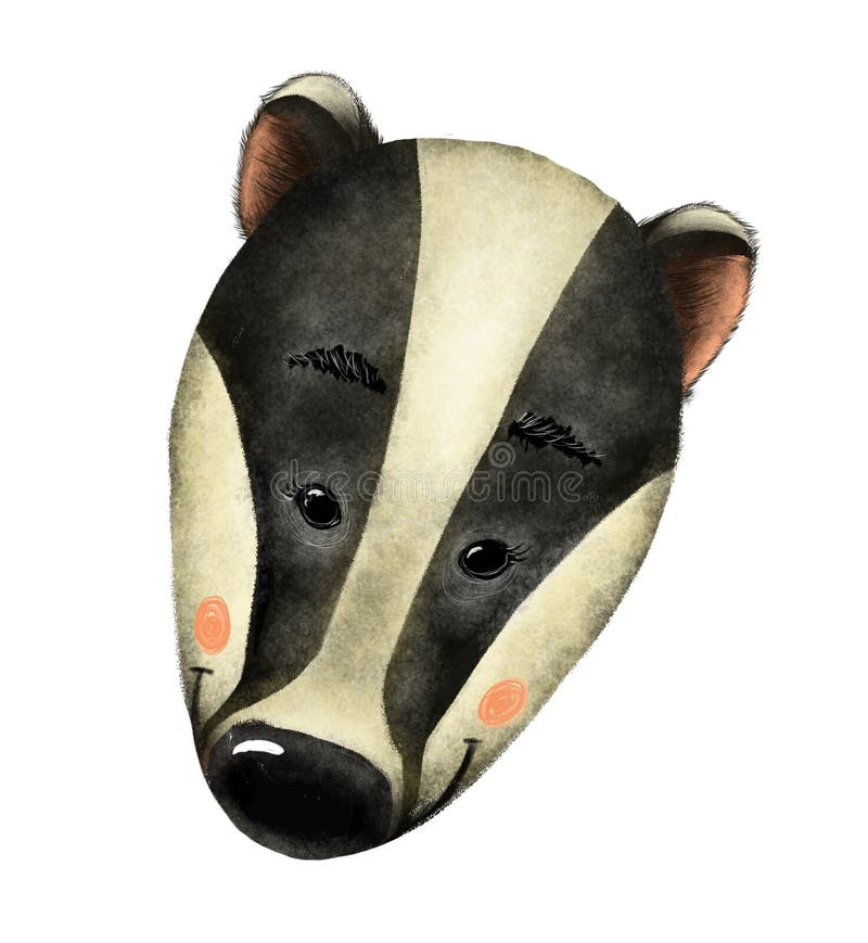 Stylized Image of a Badger Face Stock Illustration - Illustration of ...