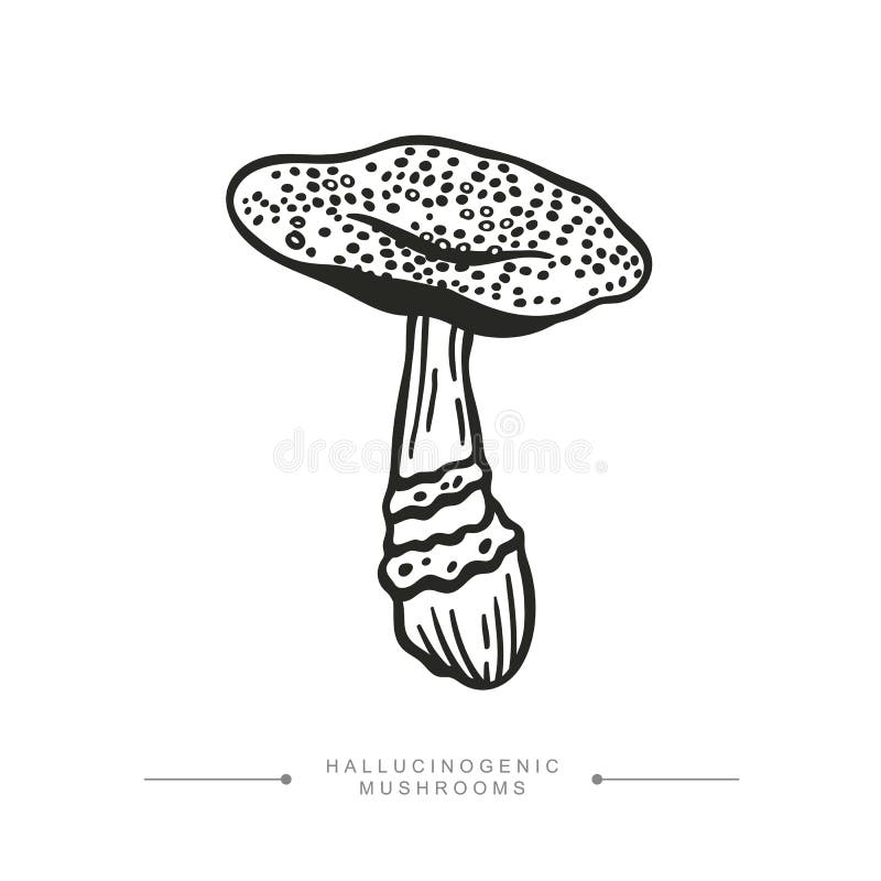A Stylized Image of a Psilocybin Mushroom. Black and White Drawing of a ...