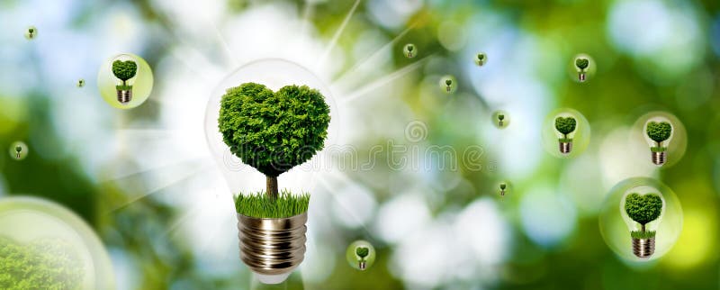 A Stylized Images of a Tree Inside a Light Bulb Stock Photo - Image of ...