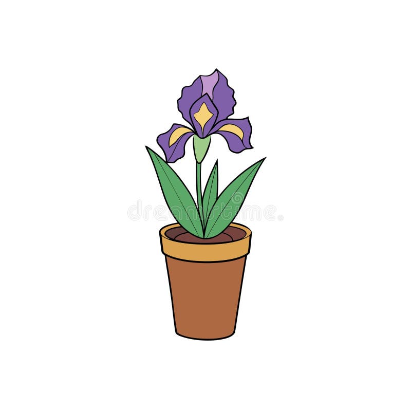 Stylized Iris Flower in a Pot on White Background Stock Image ...