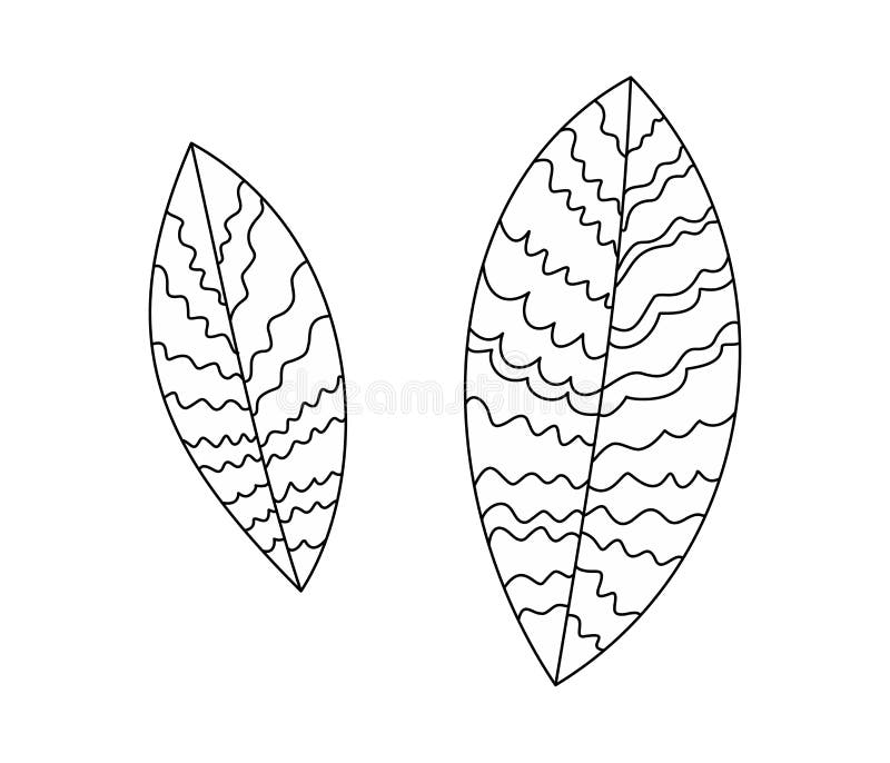 Stylized Leaf - Vector Illustration by Thin Lines. Leaf Twig Tree, Bush ...
