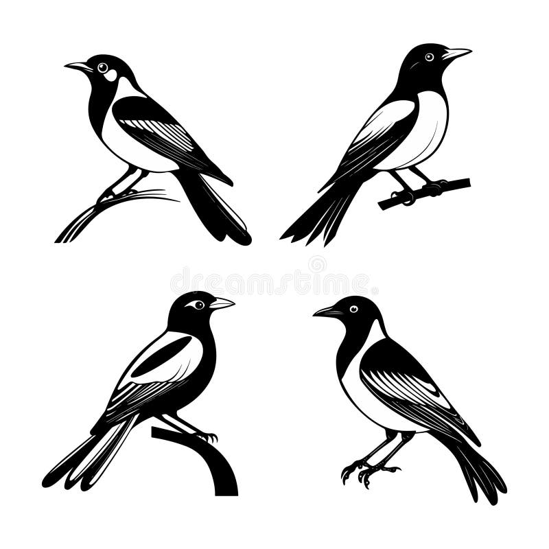 Stylized Magpie Illustrations Stock Vector - Illustration of magpie ...