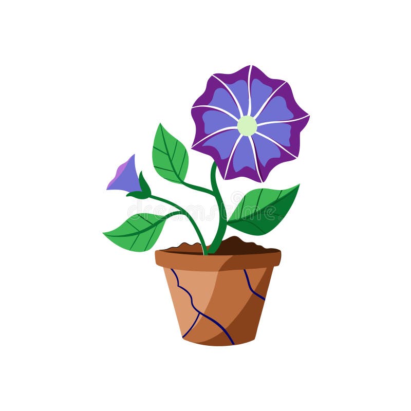 Stylized Morning Glory in a Pot Illustration Stock Photo - Illustration ...