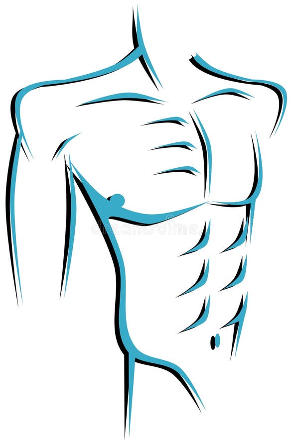 Stylized Muscular Torso in Blue Tones Isolated Stock Vector ...