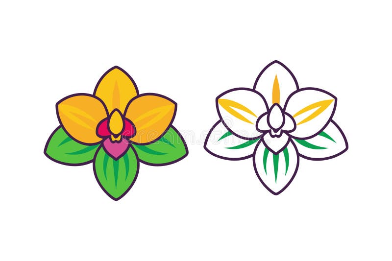 Stylized Orchid Flower Illustrations in Vibrant Colors Stock ...