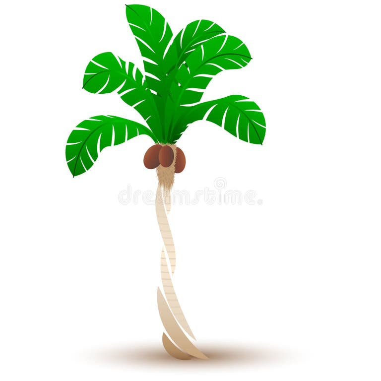 Stylized Palm Tree stock vector. Illustration of icon - 74254925