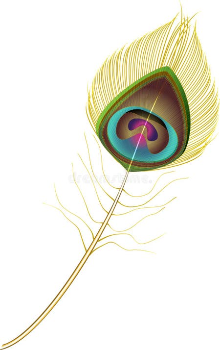 Stylized Peacock Feather Stock Illustrations – 3,160 Stylized Peacock ...