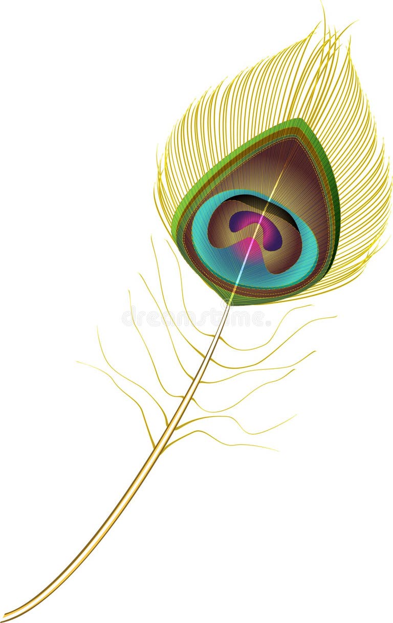 Stylized Peacock Feather Stock Illustrations – 3,160 Stylized Peacock ...