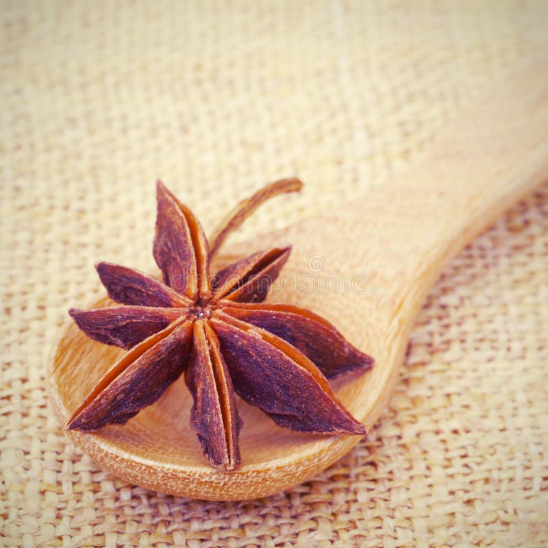 Stylized photo of Cinnamon stock photo. Image of ground - 41153368