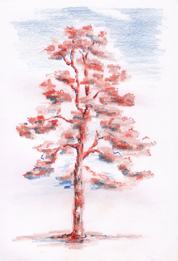 Stylized Pine Tree in Red and Blue Colors Stock Illustration ...
