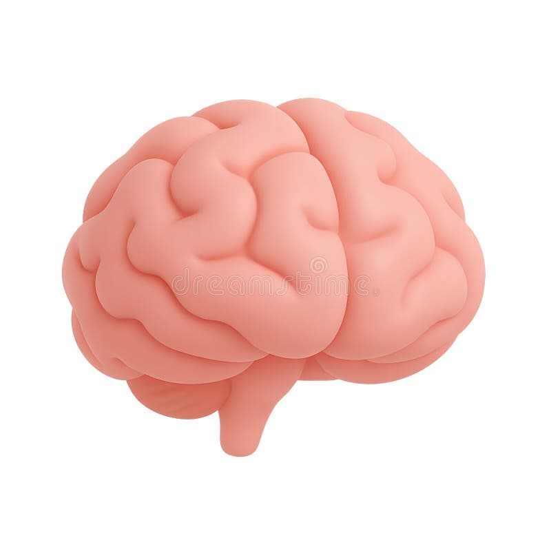 Rendered Pink Human Brain Isolated on Black Background Stock ...