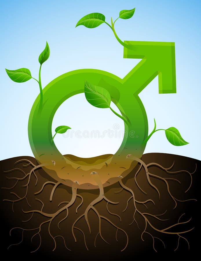 Growing Male Symbol Like Plant with Leaves and Roo Stock Vector ...