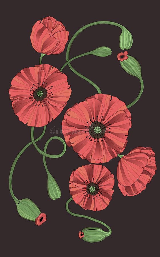 Stylized Poppy Flowers Illustration Stock Illustration - Illustration ...
