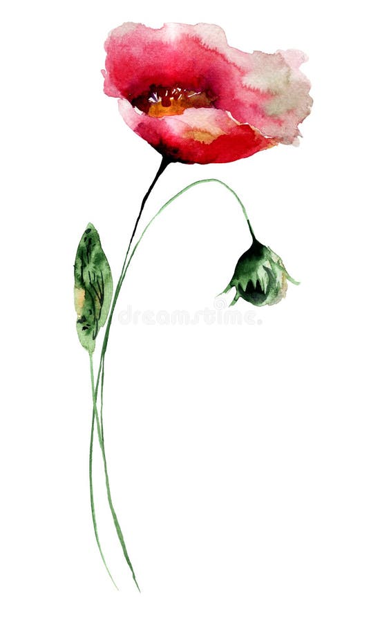 Stylized Poppy Flowers Illustration Stock Illustration - Illustration ...