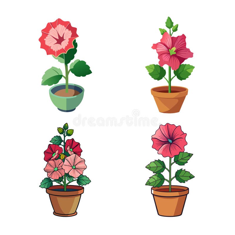 Stylized Potted Hibiscus Flower Illustration, Vector Graphic Stock ...