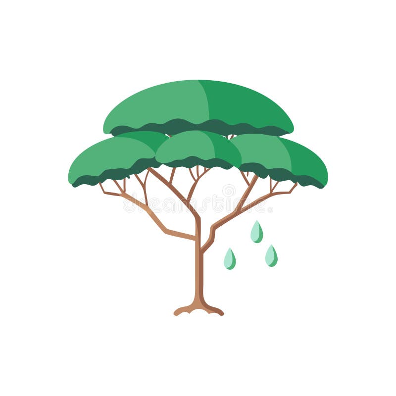 Stylized Rain Tree Black and White Illustration, Nature Symbol, Vector ...