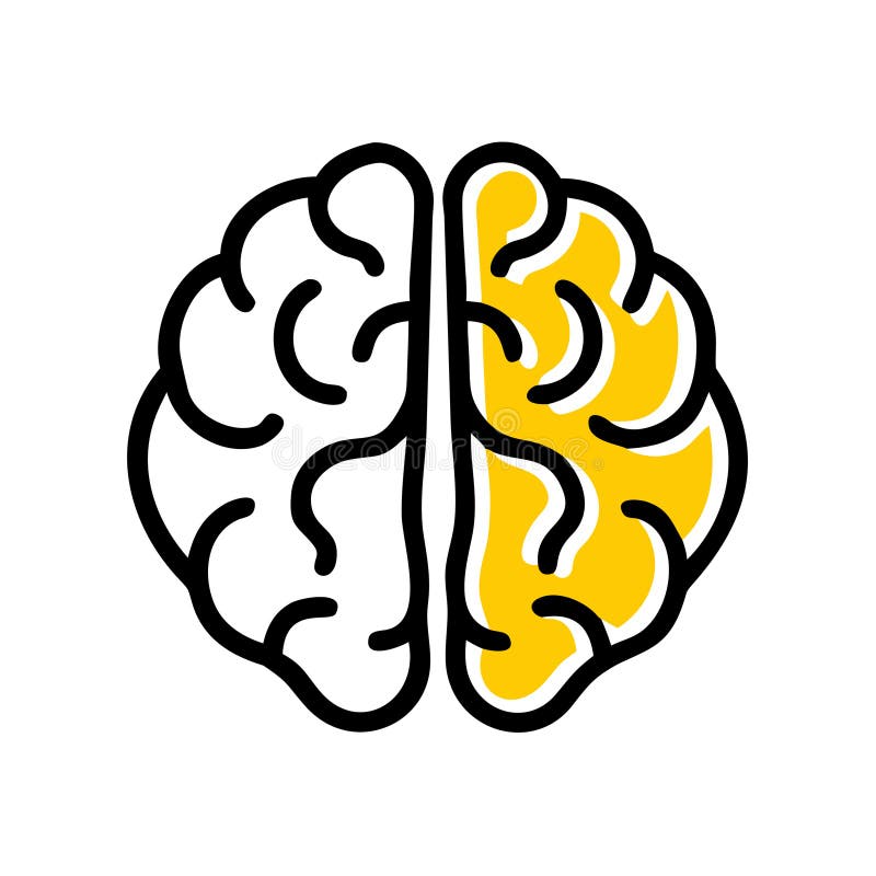 A Stylized Representation of a Brain Shows Its Two Hemispheres Stock ...