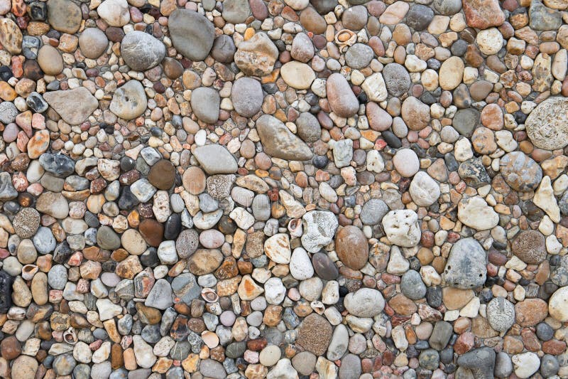 Stylized Road Pavement with Colorful Pebble and Shells in Concrete ...