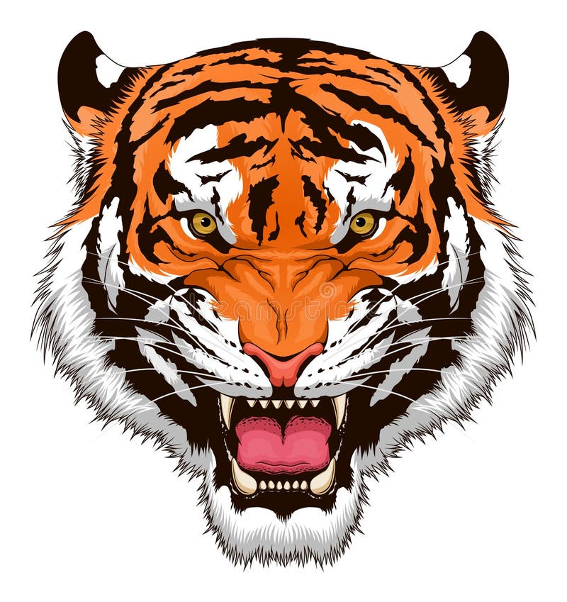 A head of a roaring tiger stock vector. Illustration of tiger - 38215740