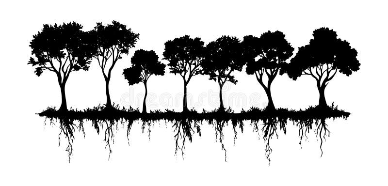 A Stylized Silhouette of Trees with Visible Roots, Representing Nature ...