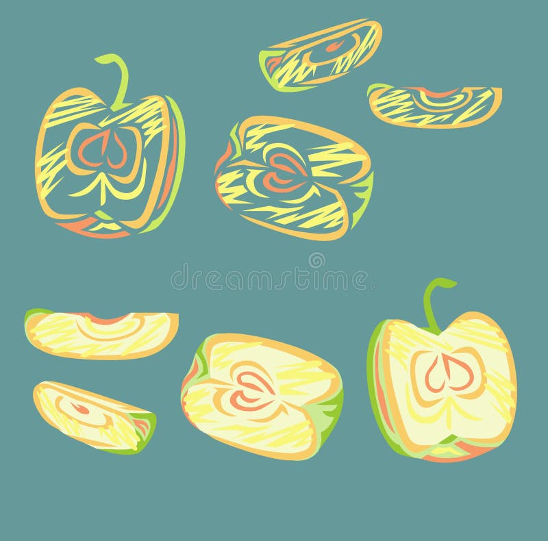 Stylized sliced apples. stock vector. Illustration of drawing - 69628552