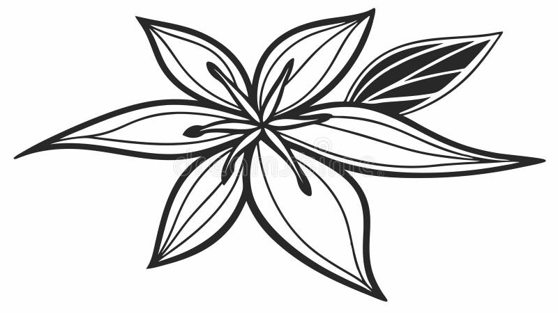 Stylized Star Flower, Decorative Botanical Element, Vector Design ...