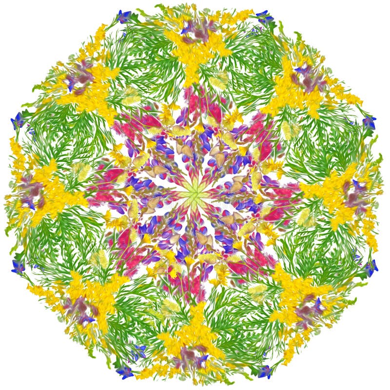 Stylized Star Seamless Floral Pattern Stock Illustration - Illustration ...