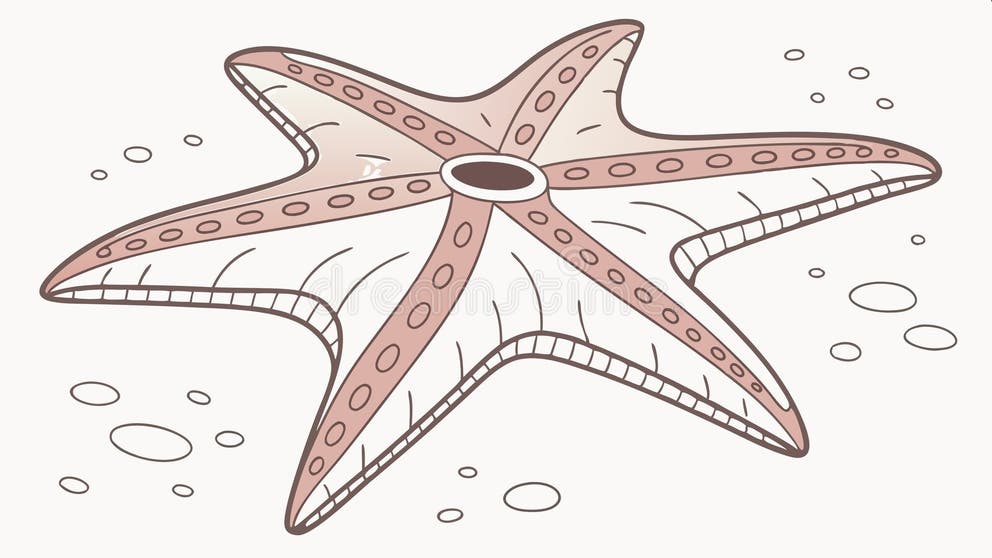 Stylized Starfish Lying on the Ocean Floor with Bubbles Vector Design ...