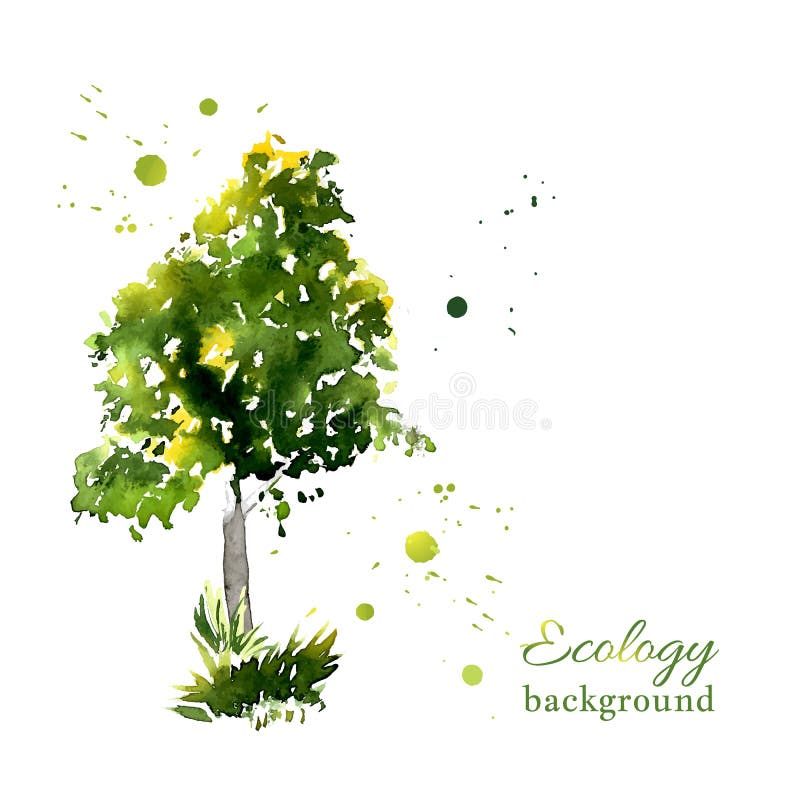 Stylized summer tree stock illustration. Illustration of plant - 54573832