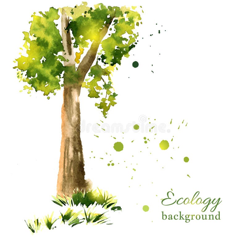 Stylized summer tree stock vector. Illustration of nature - 54573936