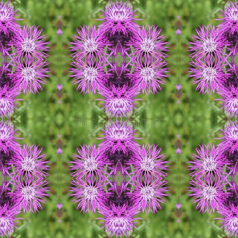 Stylized Texture. Futuristic Seamless Pattern Plants. Field Flowers ...