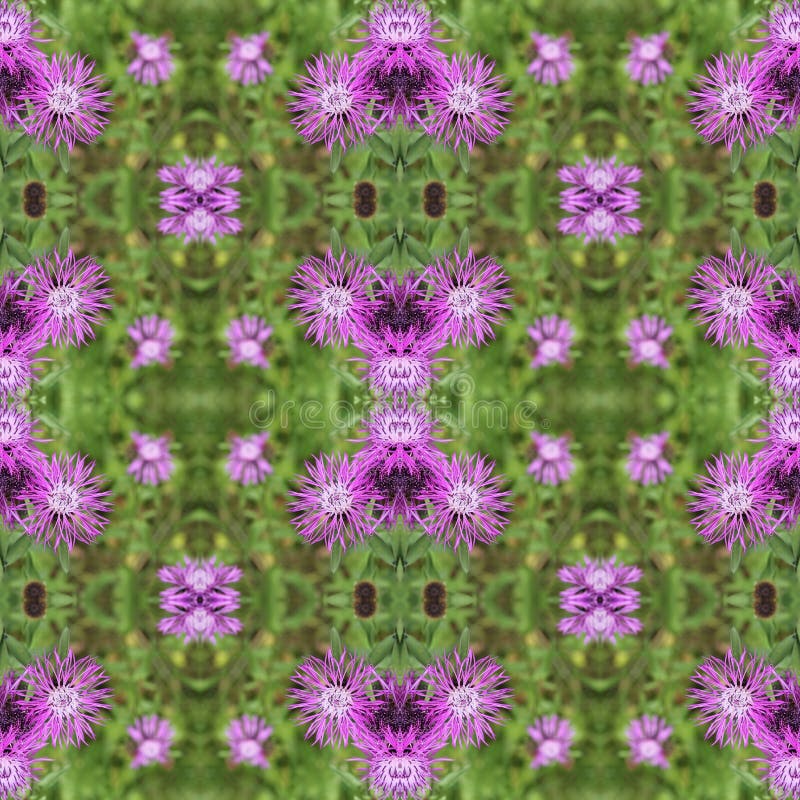 Stylized Texture. Futuristic Seamless Pattern Plants. Field Flowers ...