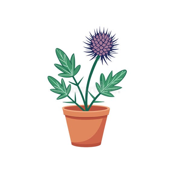 Stylized Thistle Plant in a Pot Illustration Stock Illustration ...