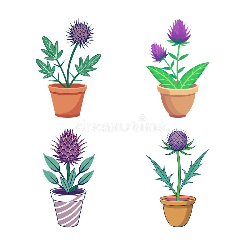 Stylized Thistle Plant in a Pot Illustration Stock Vector ...