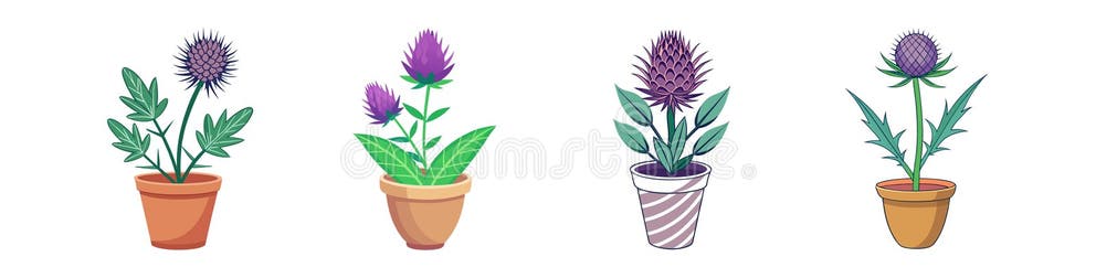 Stylized Thistle Plant in a Pot Illustration Stock Vector ...