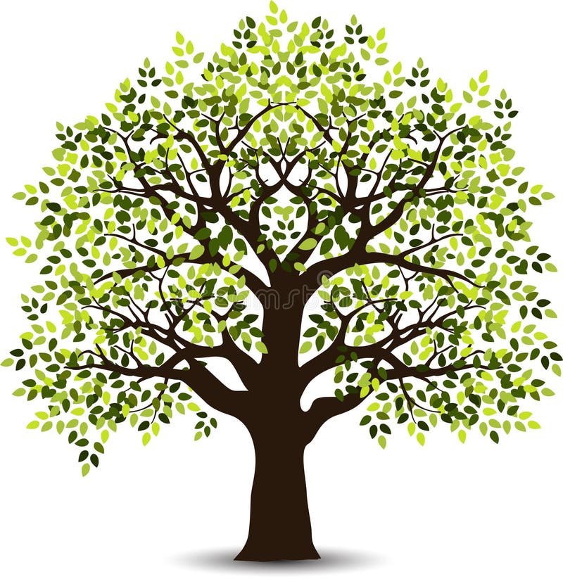 Stylized Tree for Your Design Stock Illustration - Illustration of ...