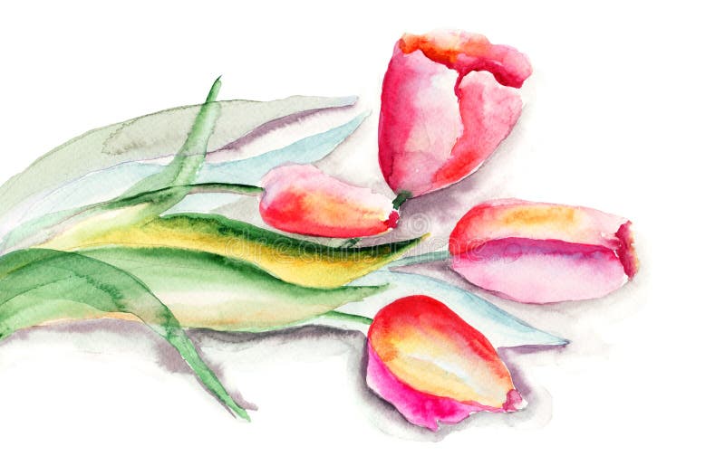 Stylized Tulips Flowers Illustration Stock Illustration - Illustration ...