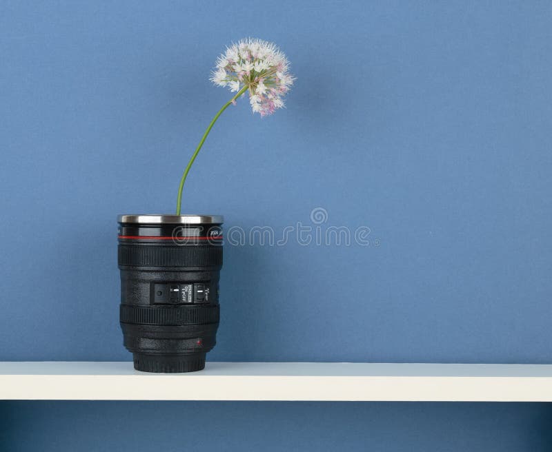 Stylized Vase Objective Stock Photos - Free & Royalty-Free Stock Photos ...