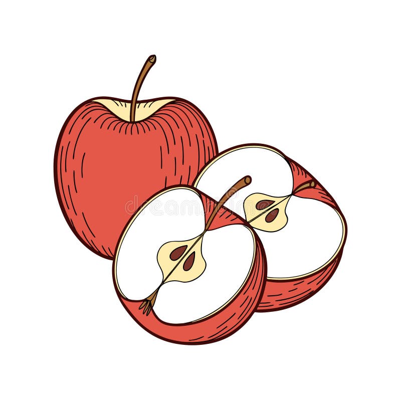 Bright Stylized Apple Illustration with Halves on White Background ...