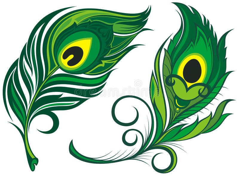 Stylized peacock feather stock vector. Illustration of template - 38095703